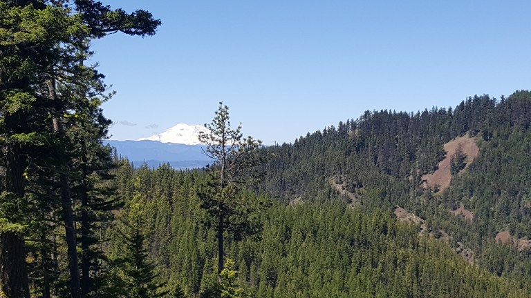 Iron Bear – Teanaway Ridge Trail | Mr and Mrs Smith Go To Washington