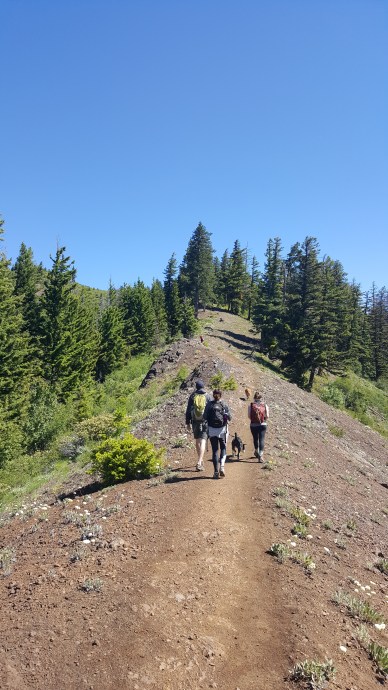 Iron Bear – Teanaway Ridge Trail | Mr and Mrs Smith Go To Washington